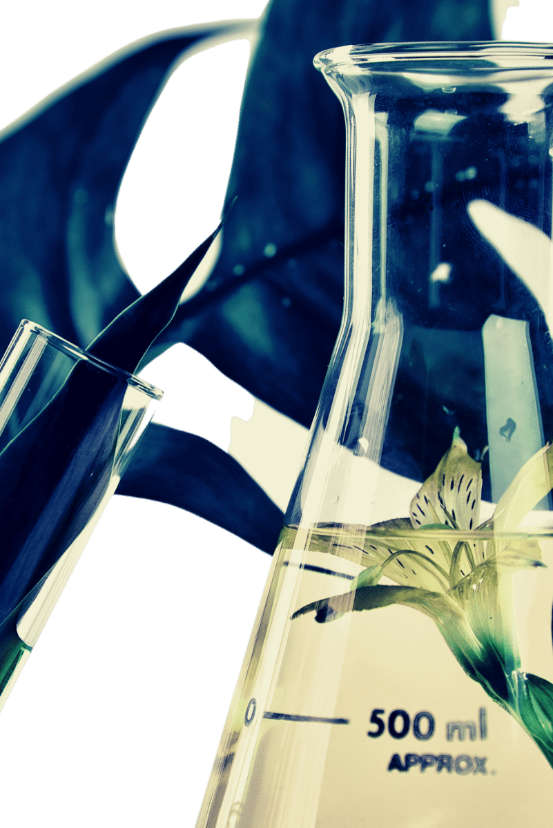 Chemtex Home | Chemtex USA